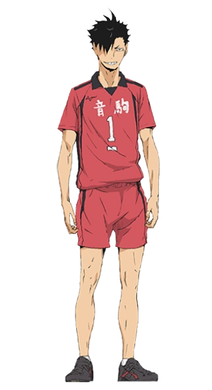 Tetsurou Kuroo | All Worlds Alliance Wiki | Fandom