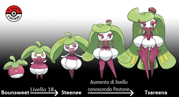 Bounsweet | Analisi Pokémon Wiki | Fandom