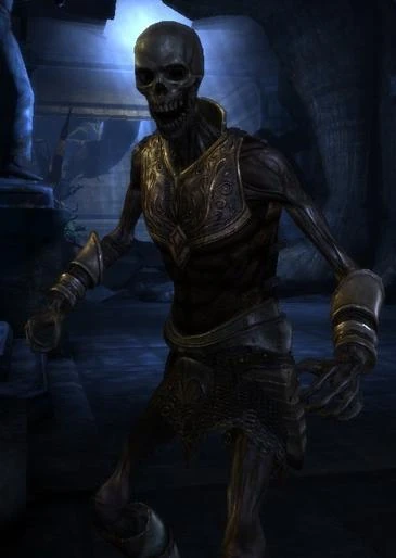 Rise of the Dalish (DAO Quest - Story Only!) | Sufficient Velocity