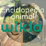 Wiki Enciclopedia Animal | Fandom