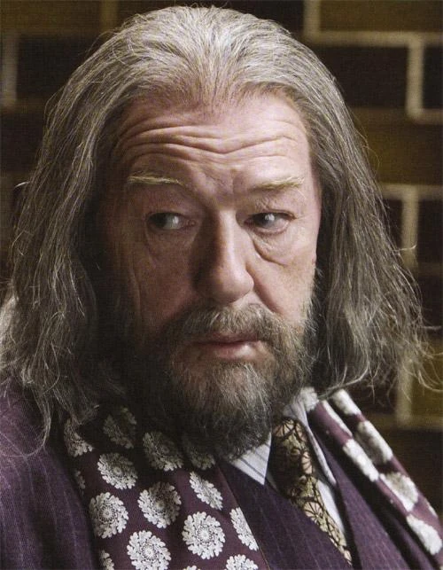 Image - Young Albus Dumbledore.JPG - Harry Potter Wiki