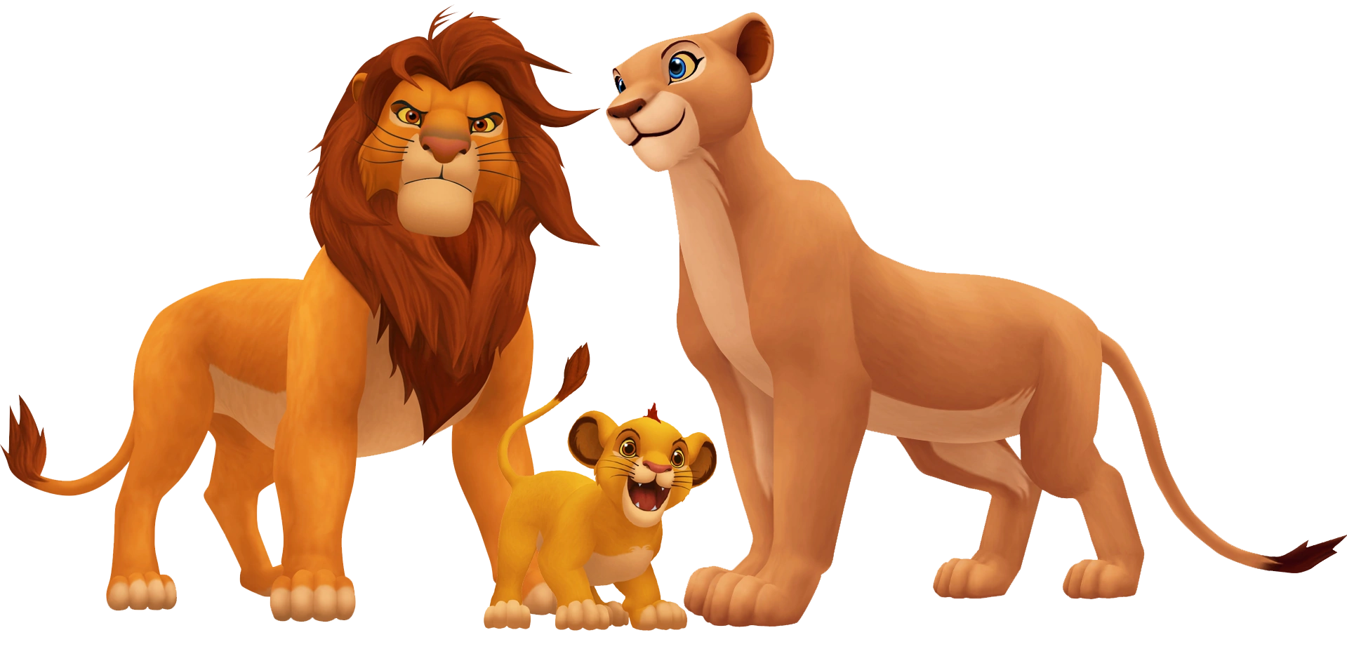 Simba And Kopa