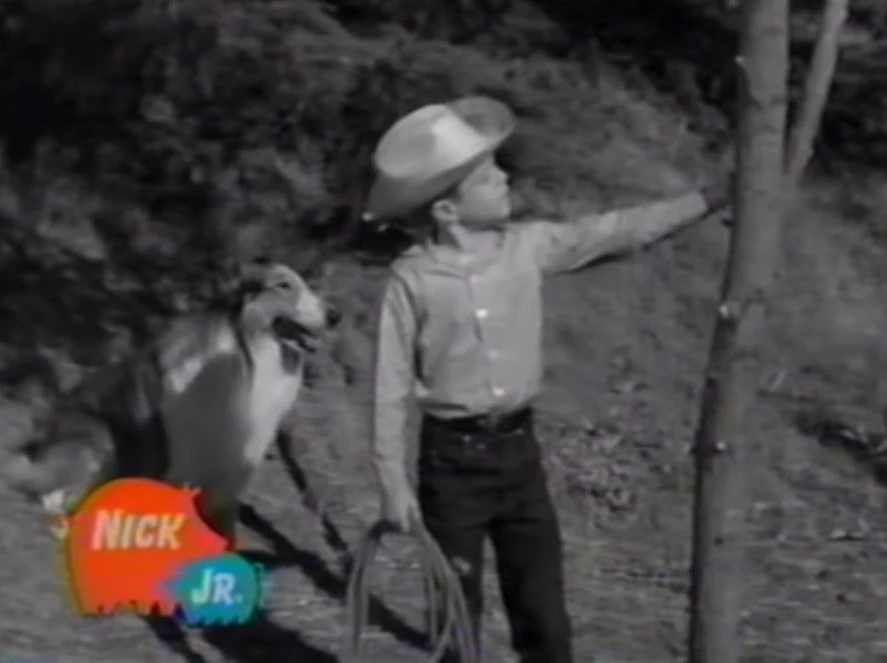 May 26, 1995 | Nickstory Wiki | Fandom