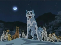Silver Fang Legend Wiki | Fandom